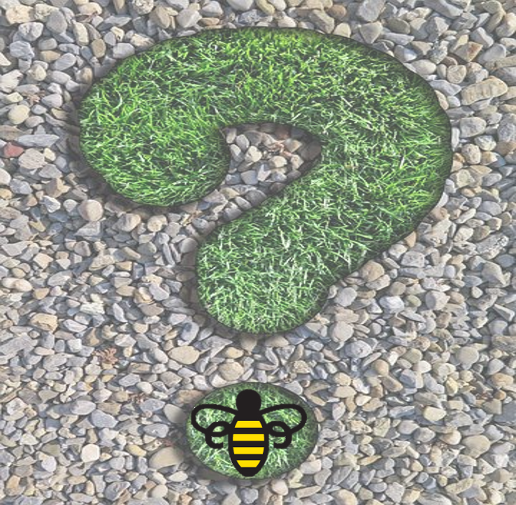 What’s in a name? New branding REVEALED! - swrm