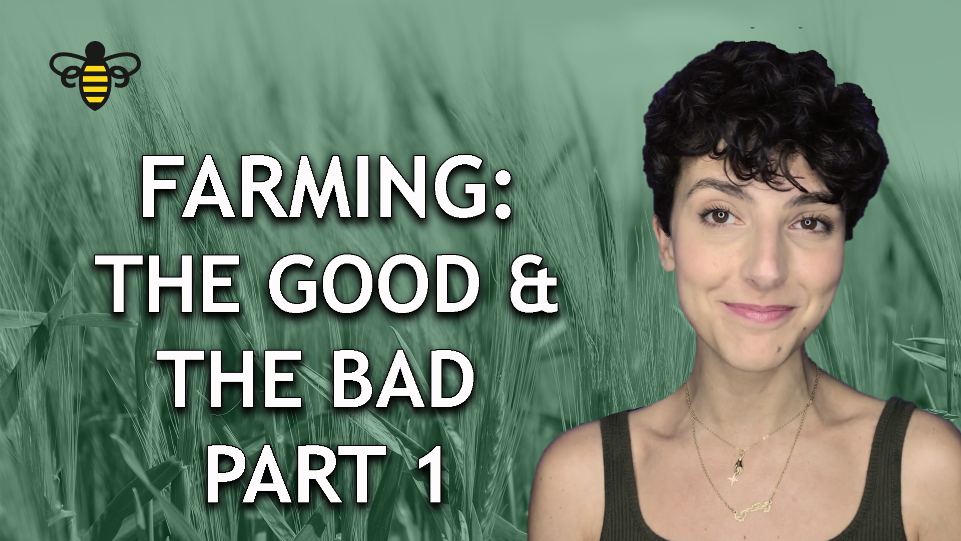 Farming: The Good and the Bad Part 1 - swrm