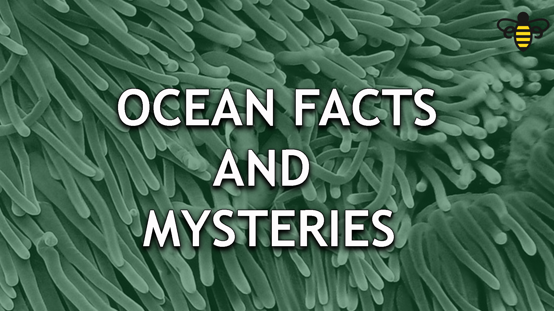 Ocean Facts and Mysteries - swrm