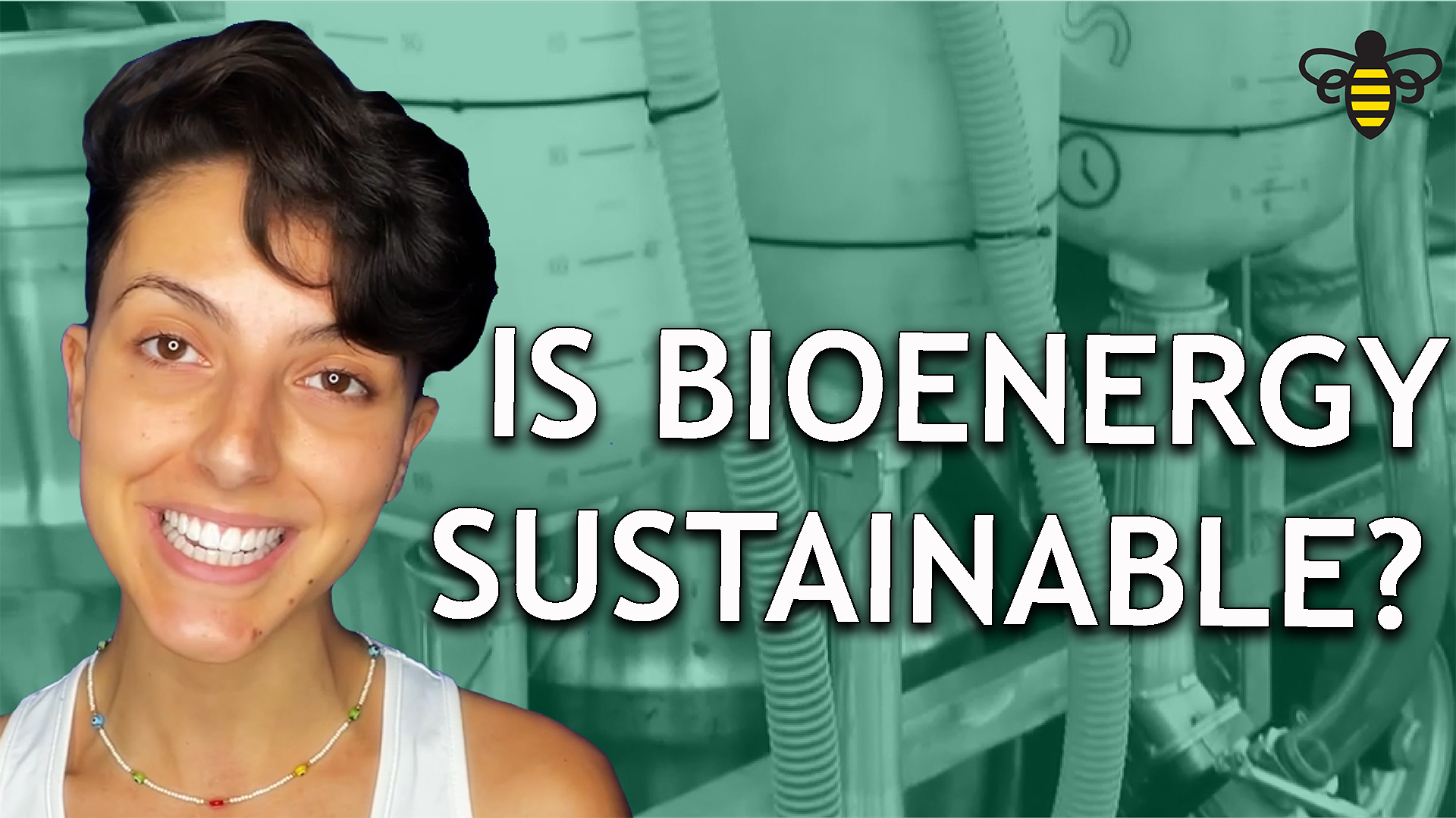 Is Bioenergy Really Sustainable? - swrm